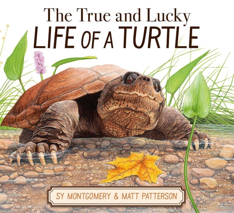 The True and Lucky Life of a Turtle Excerpt - Sy Montgomery
